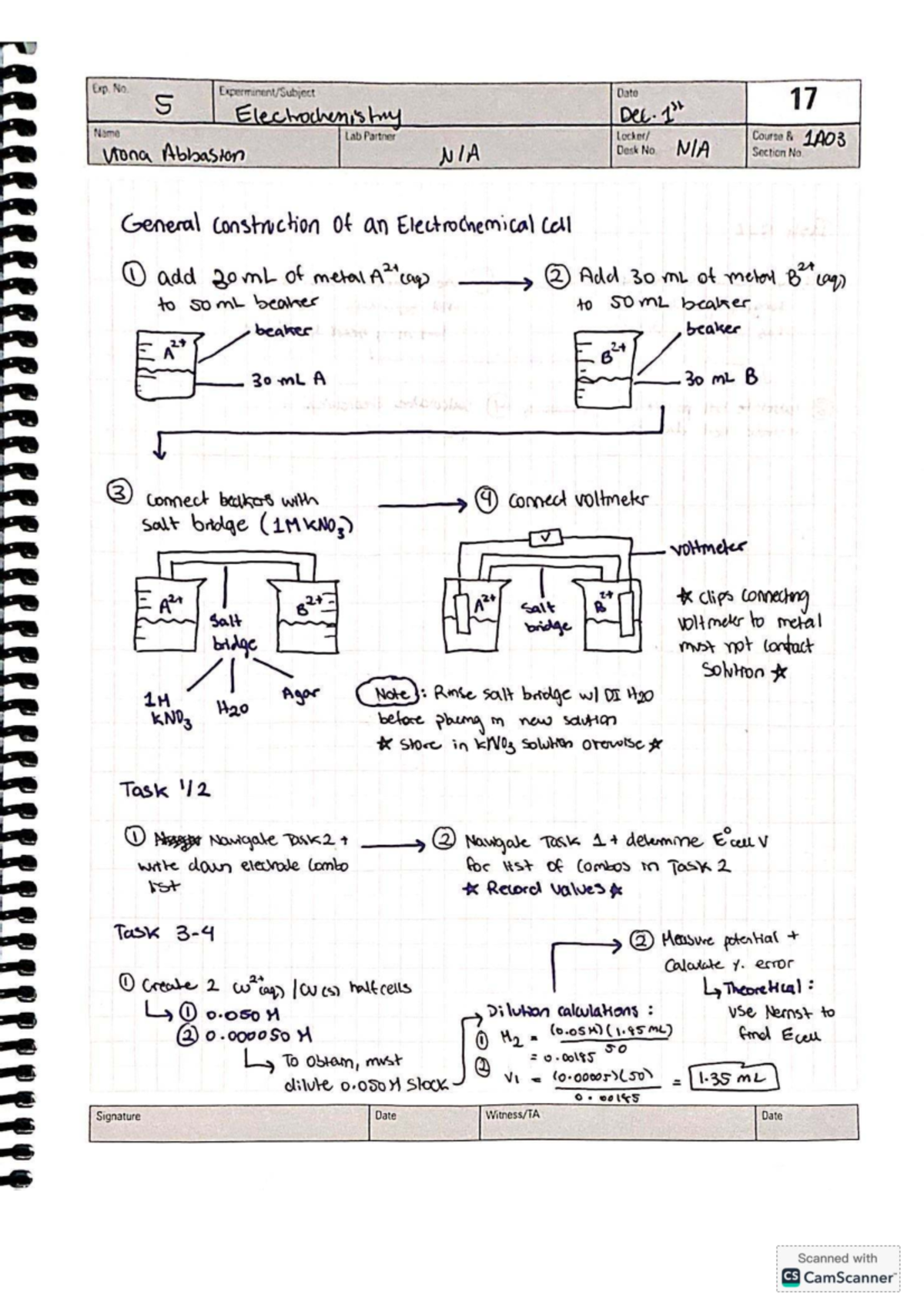 Chem 1A03 Lab: Electrochemical Cell Experiment Flowchart - Studocu