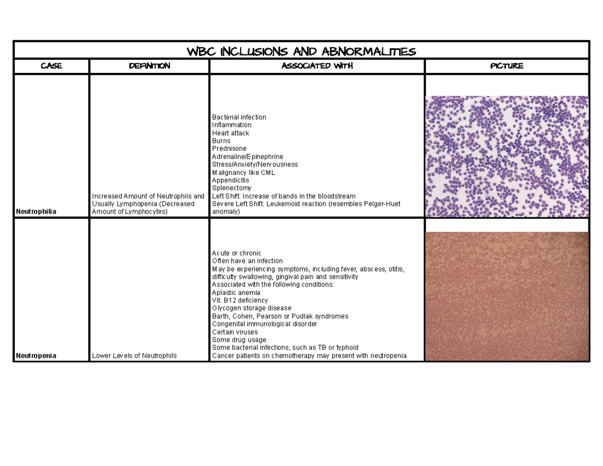 WBC Inclusions and Abnormalities: Clinical Insights and Definitions ...