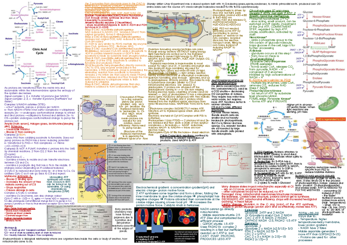 101 - Cheat Sheet for Cellular Respiration and Photosynthesis - Studocu