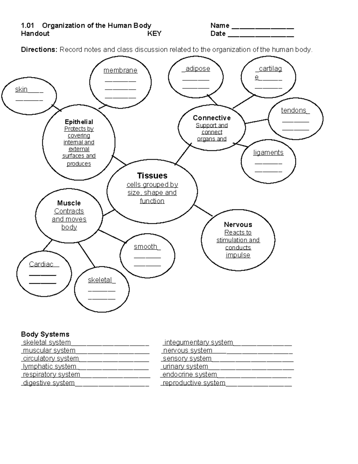 1.01 Organization of the Human Body: Study Guide Answer Key - Studocu