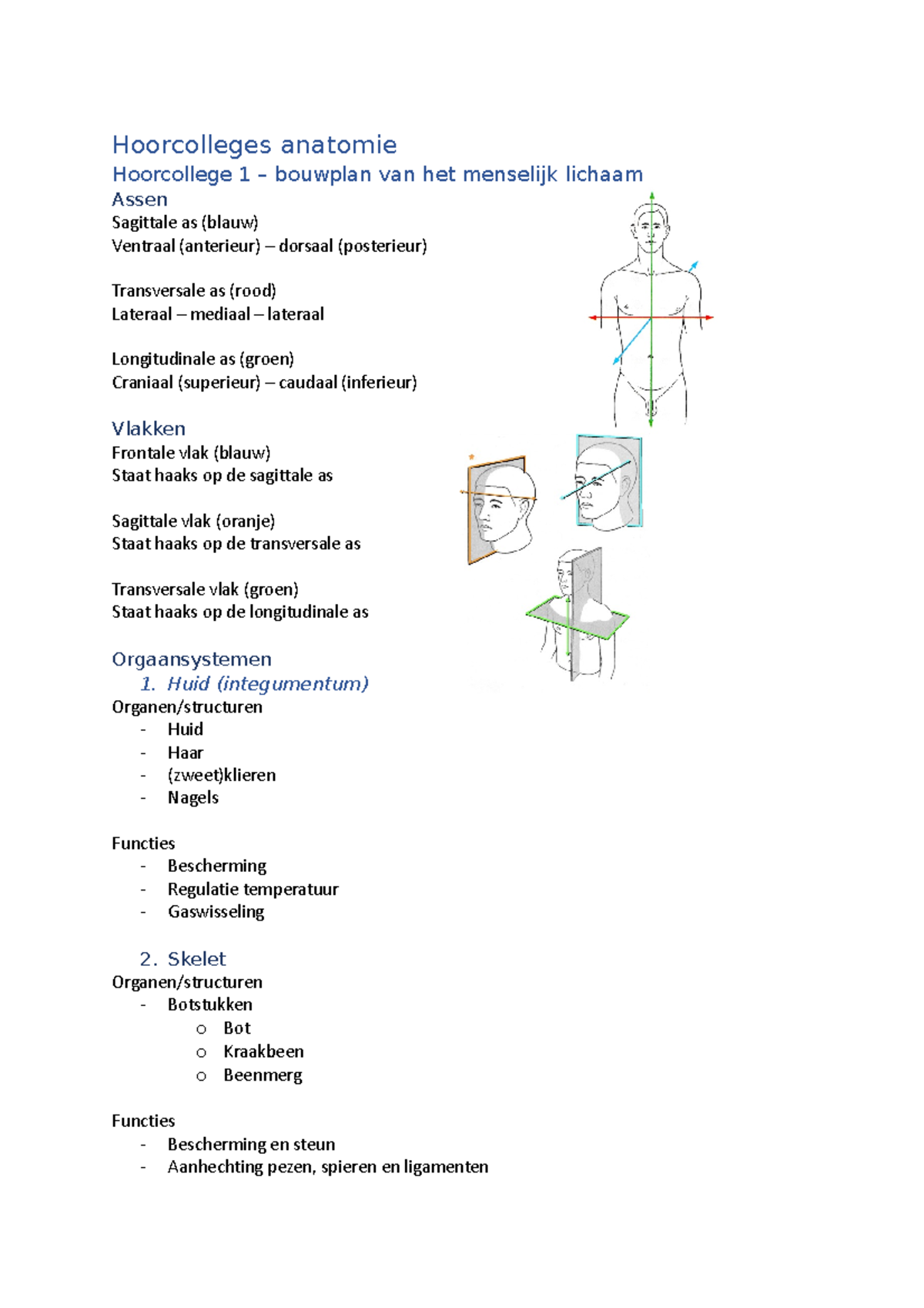 Hoorcolleges Anatomie: Menselijk Lichaam en Ontwikkeling (HC 1-3 ...
