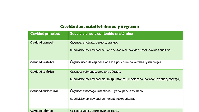 Cavidades subdivisiones y órganos - Cavidades, subdivisiones y órganos ...