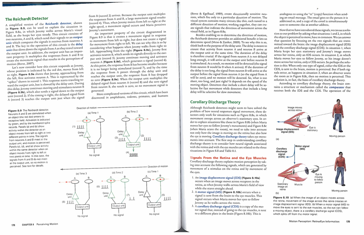 Reichardt Detector: Principles and Applications in Neural Networks ...