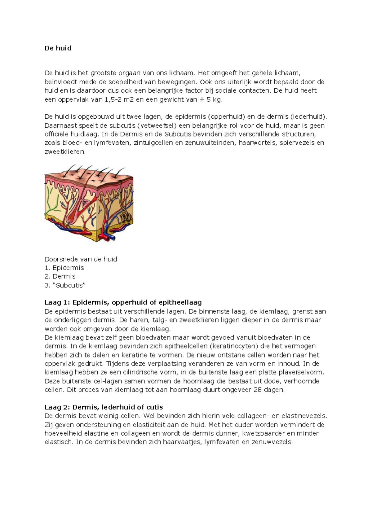 Wonden Theorie NB: Anatomie en Functies van de Huid en Wondgenezing ...