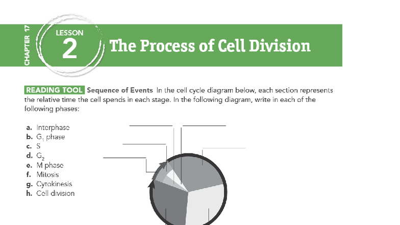 CH 17.2 Biology Foundations: The Process of Cell Division - Studocu