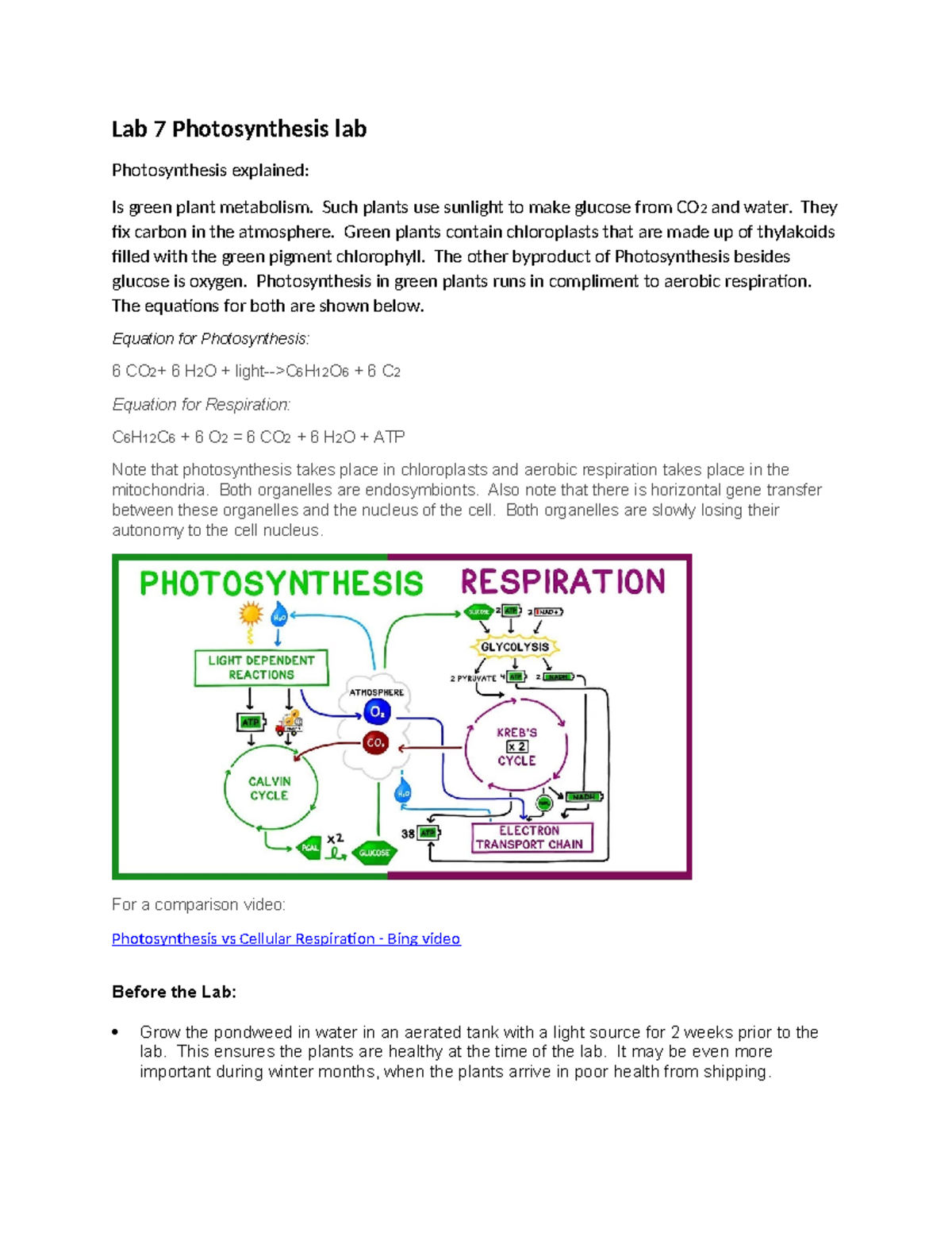 Photosynthesis lab ed Oct 2 - Lab 7 Photosynthesis lab Photosynthesis ...
