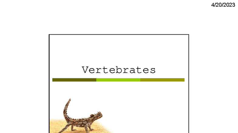 Chapter 34: Overview of Chordates & Vertebrate Evolution - Studocu