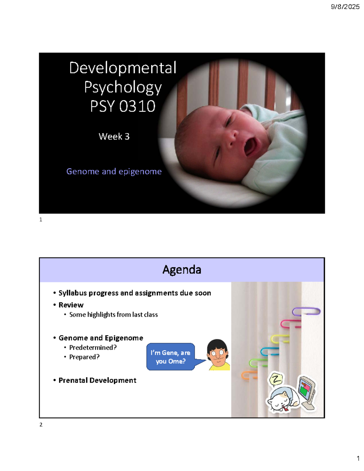 Developmental Psychology PSY 0310: Insights on Prenatal Genetics ...