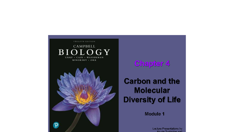 Chapter 4 & 5: Carbon Diversity & Biological Molecules - BIOL100 ...