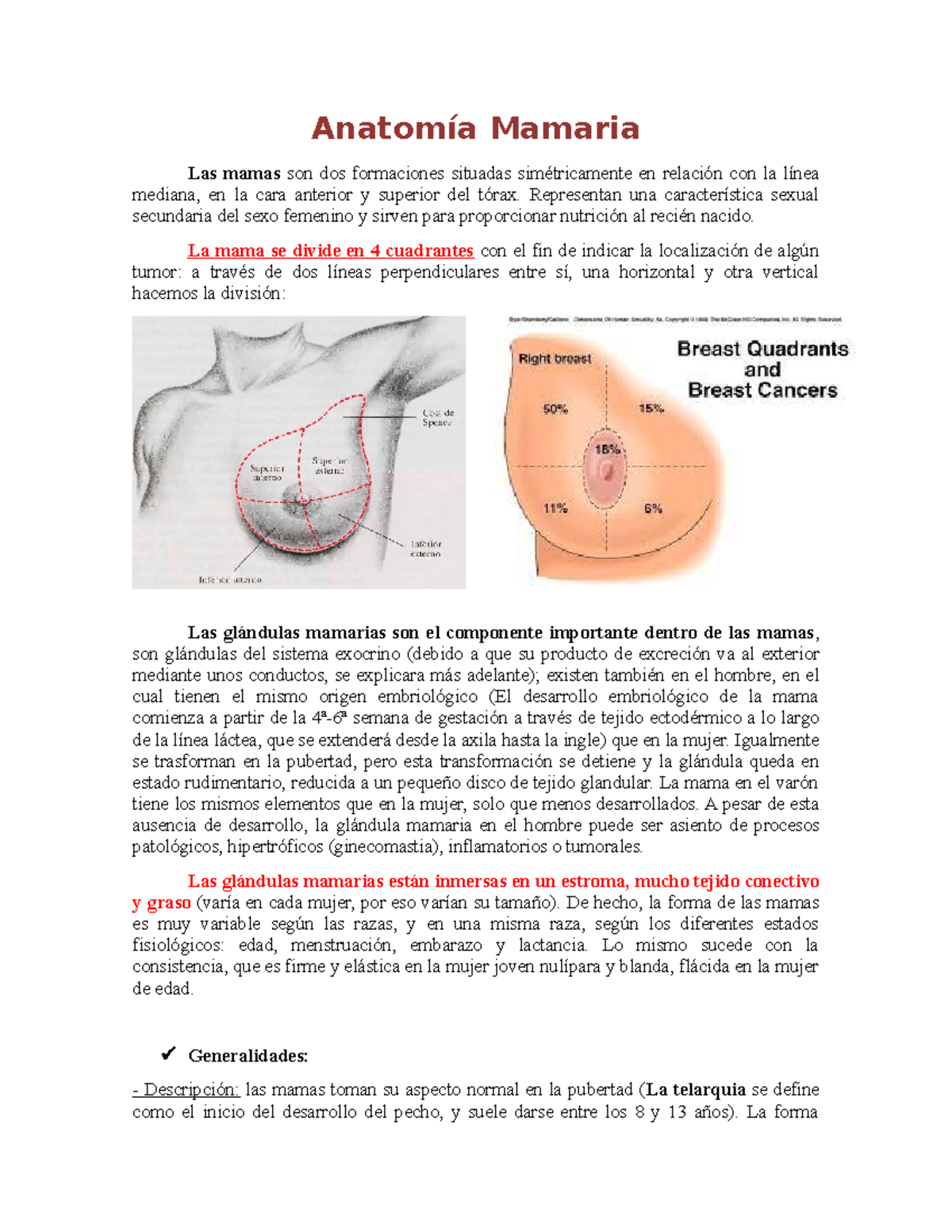 Información de Mama - Anatomía Mamaria Las mamas son dos formaciones ...