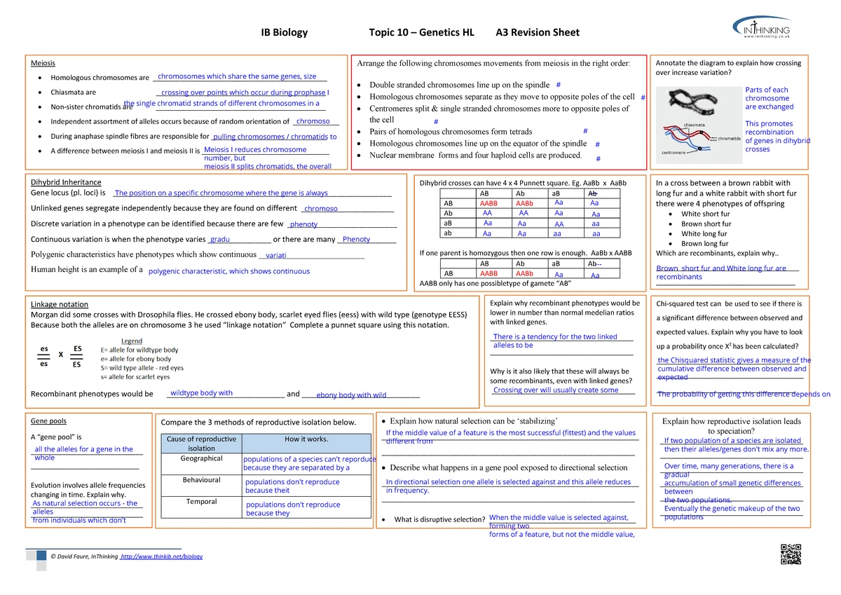 IB Biology 03: Genetics A3 Revision Sheet and Key Concepts - Studocu