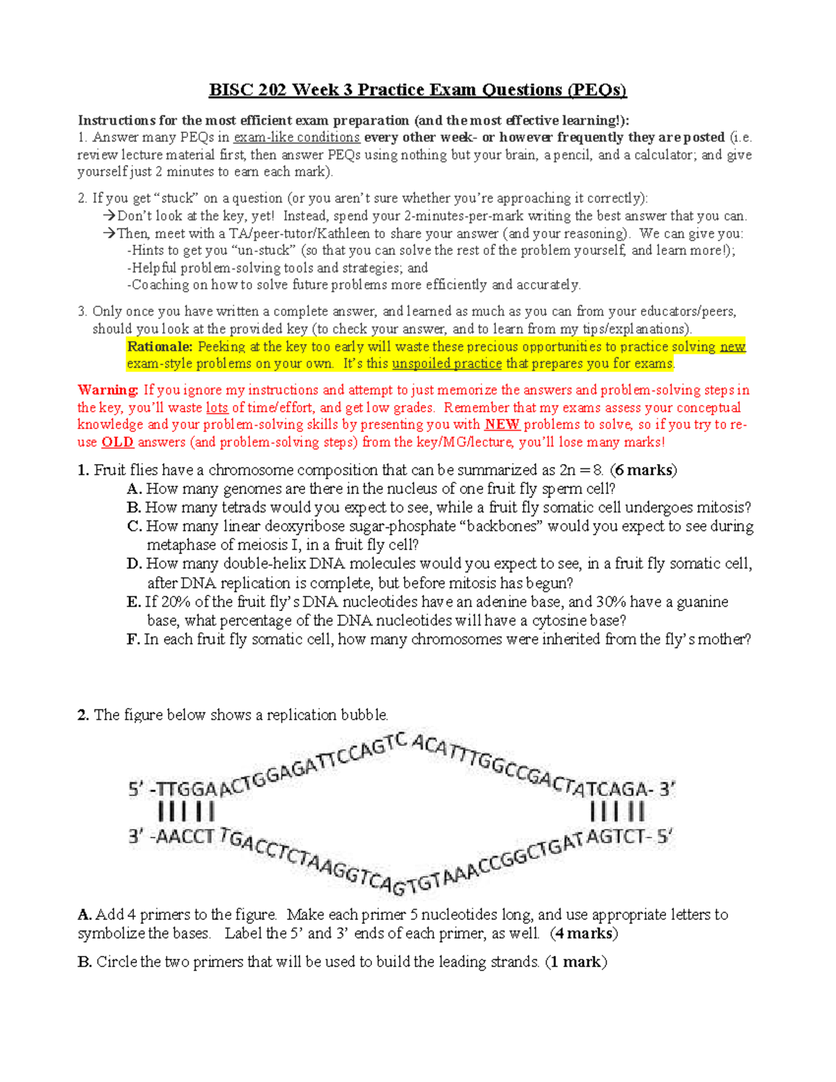 BISC 202 Week 3 Practice Exam Questions (PEQs) on Replication, Transcription, - Studocu