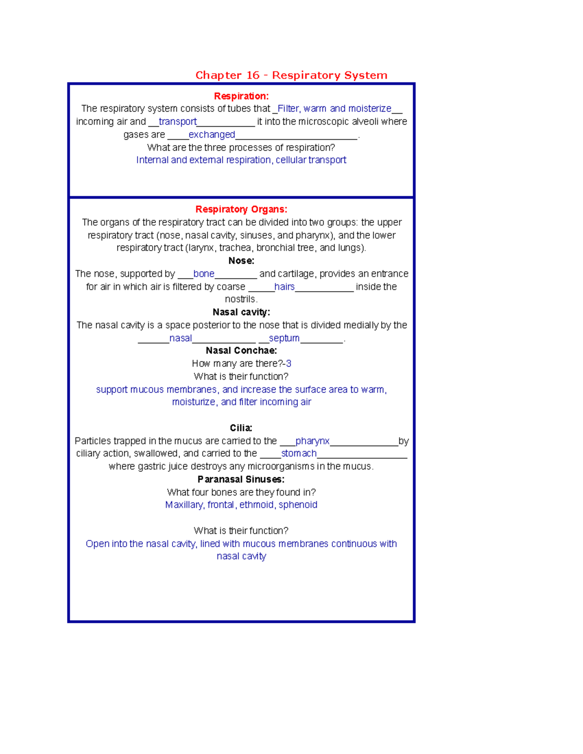 Chapter 16 - Respiratory System - Chapter 16 - Respiratory System Respiration: The respiratory ...