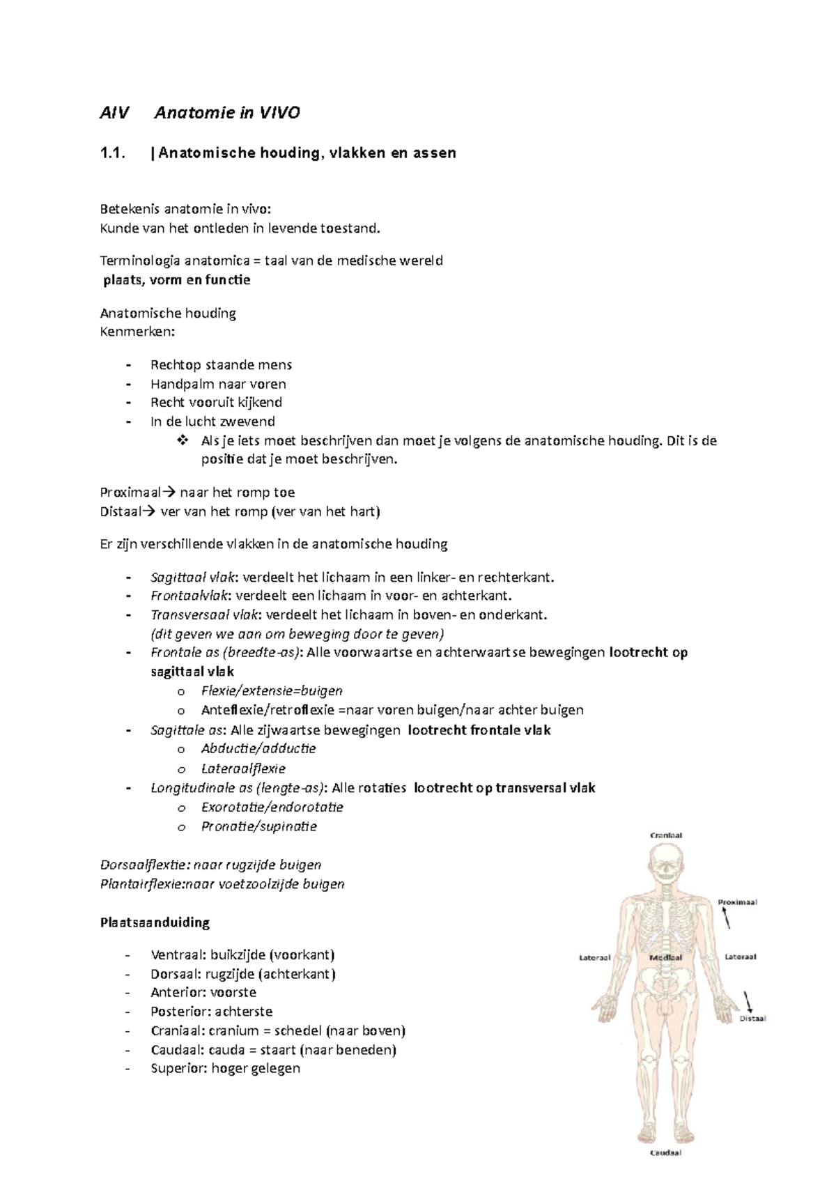 AIV Anatomie in VIVO Lesnotities: Anatomische Houding en Terminologie ...