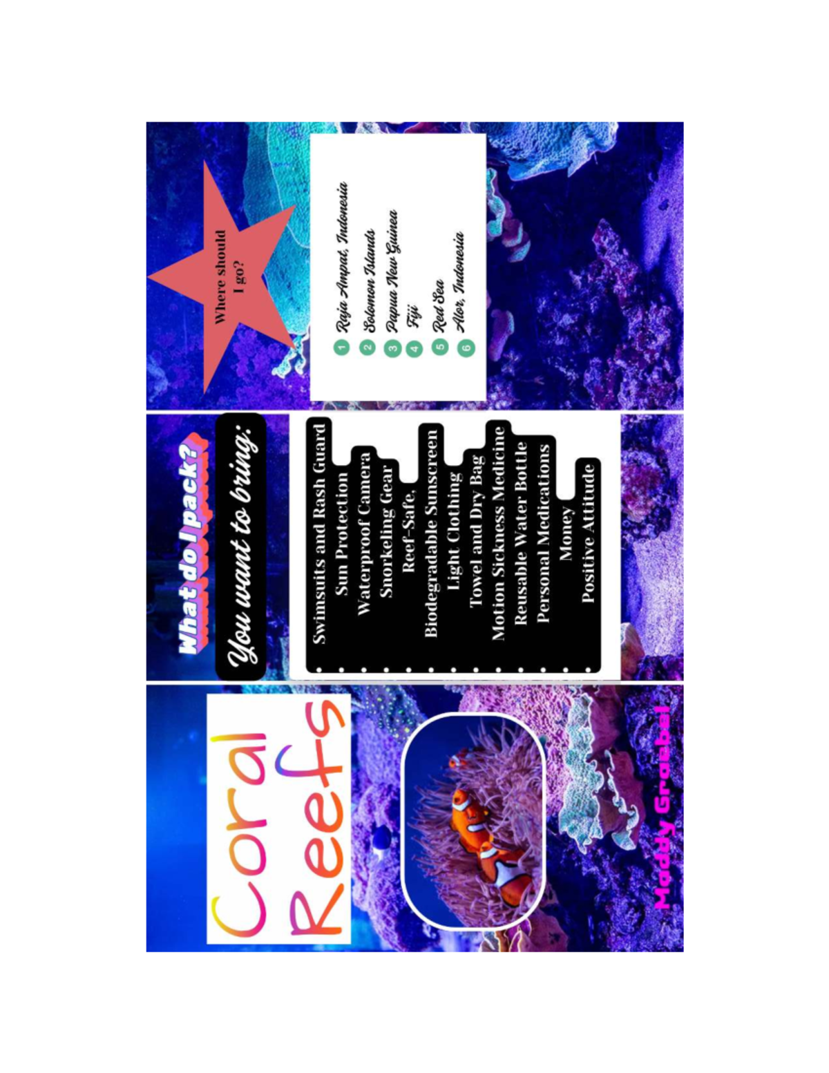 Exploring Essential Gear for Snorkeling & Sun Protection - Studocu