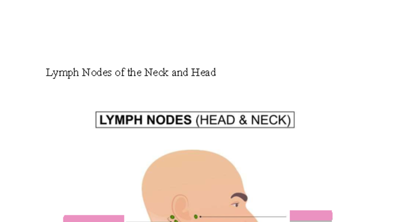 Screenshot 2025-08-26 at 13 - NR-436 - Lymph Nodes of the Neck and Head ...