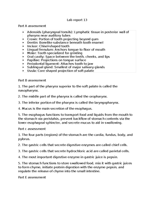 Skeletal system lab (1) - Skeletal system lab Identification of Bones A ...
