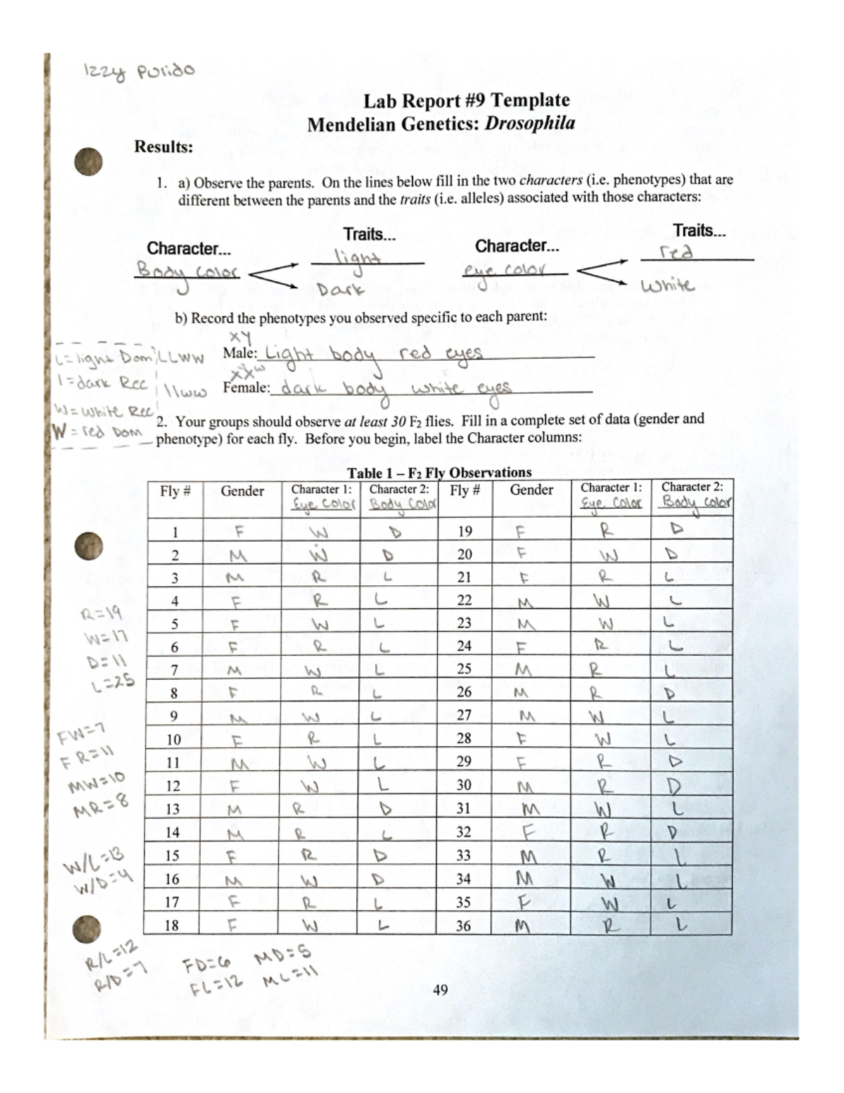 Mendelian Genetics Lab Report #9 & #10: Drosophila Results and Analysis ...
