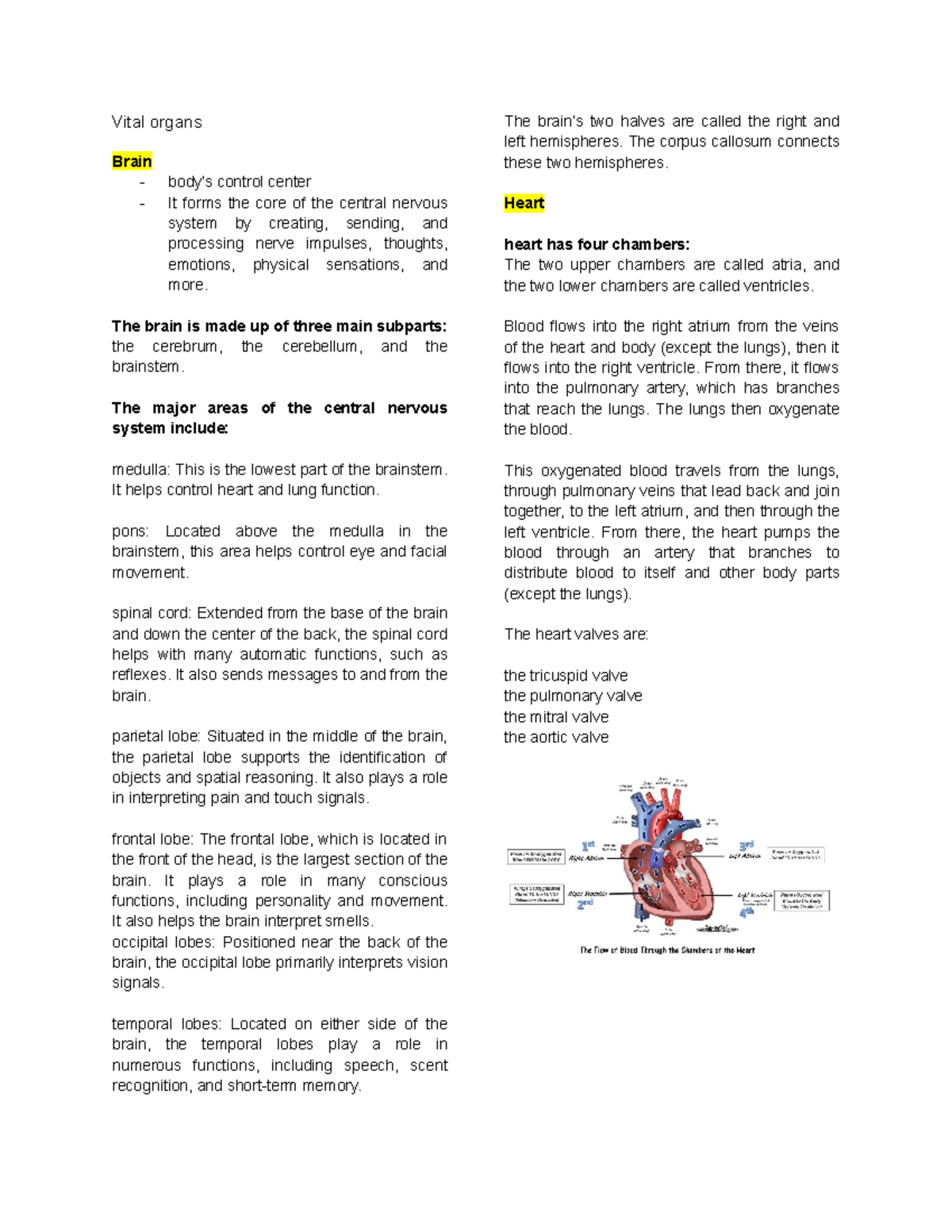 Anatomy Organ System Review - Comprehensive Study Guide - Studocu
