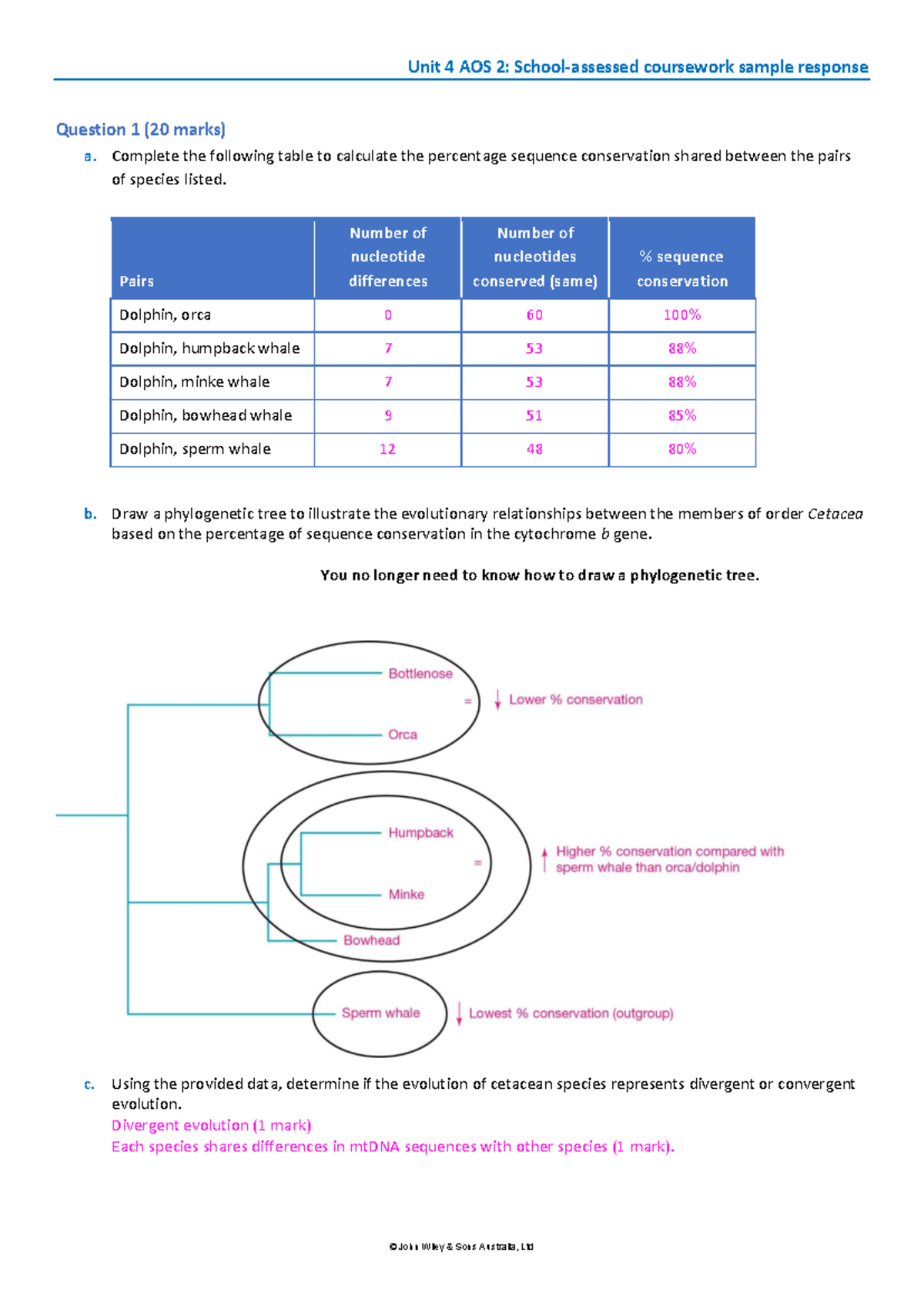 U4 SAC2: Practice Answers on Cetacean Evolution and Hominin Adaptations ...