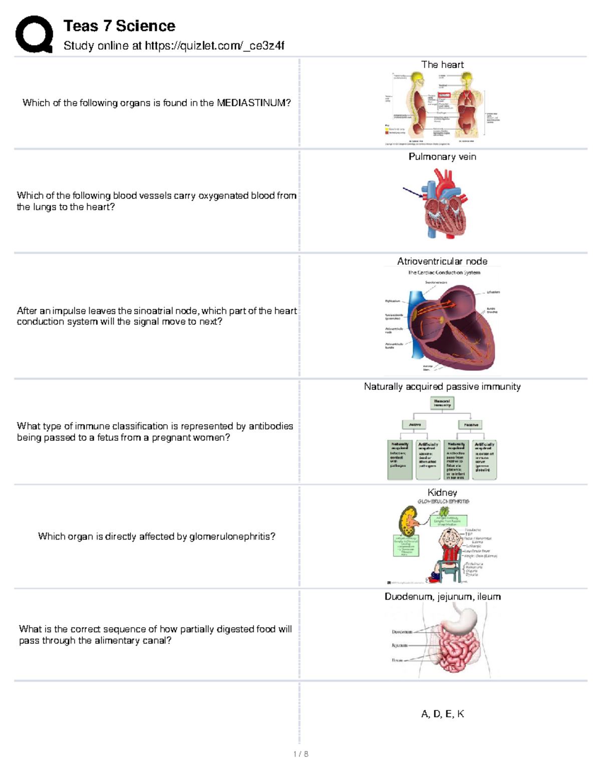 TEAS 7 Science - Comprehensive Study Notes for Exams - Studocu