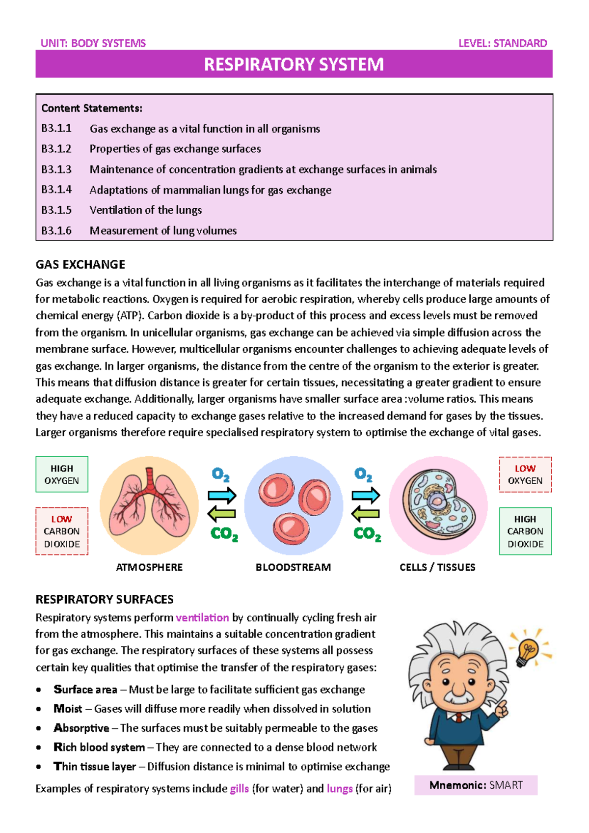 Respiratory System Overview: Key Functions and Gas Exchange Mechanisms ...