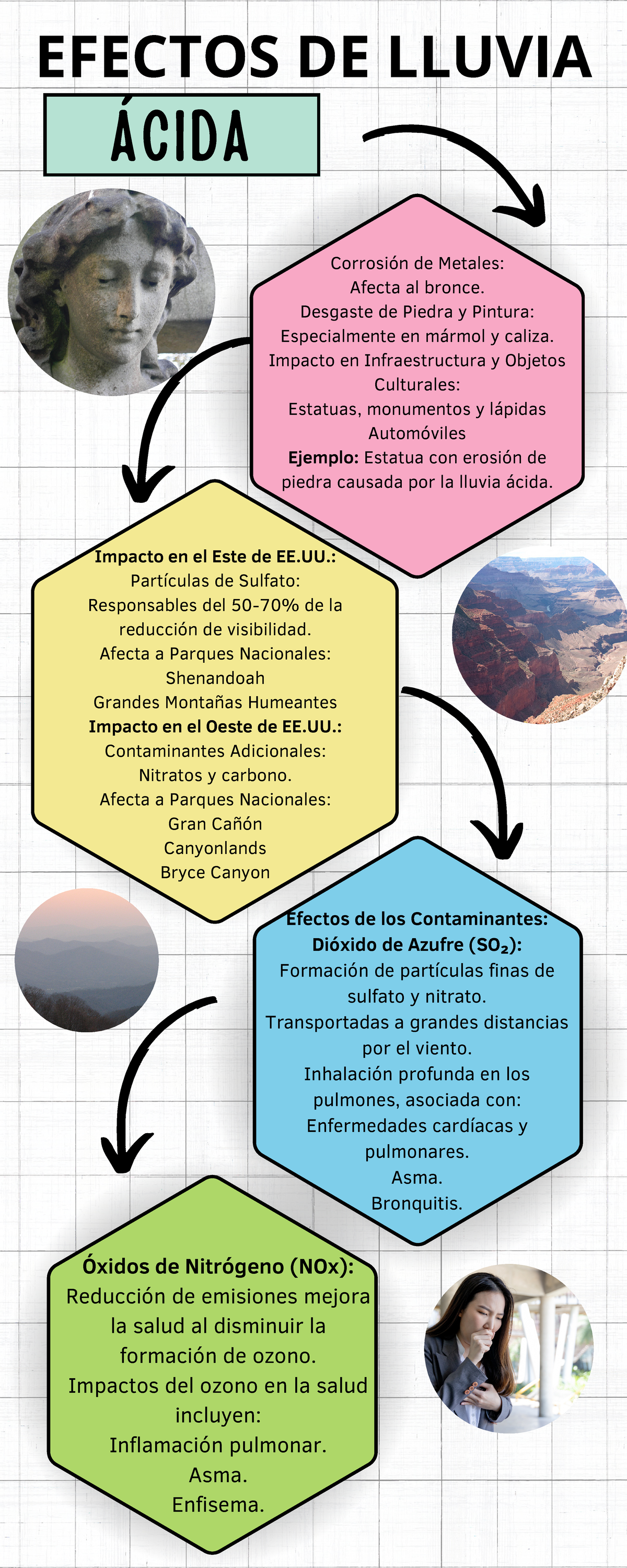 Efectos de la Lluvia Ácida en la Salud y Cultura en EE.UU. - Studocu
