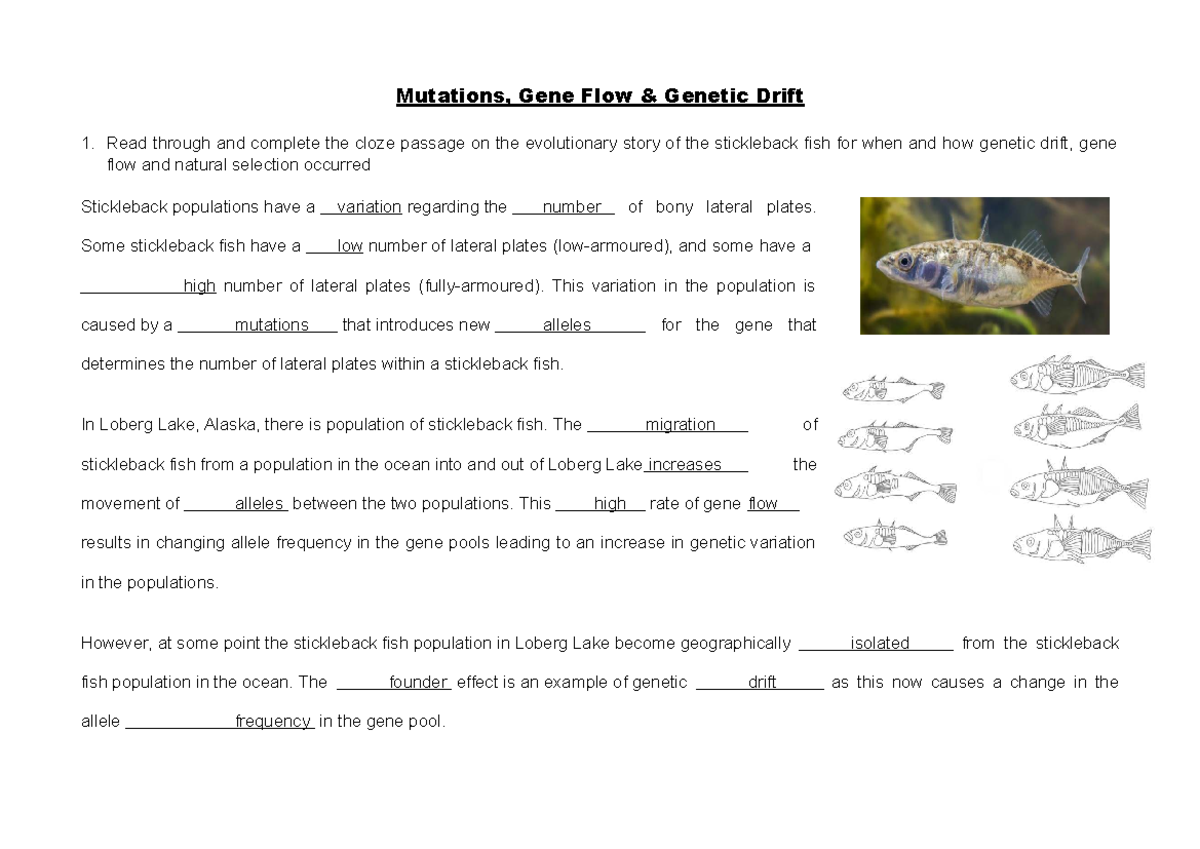 Mutations, Gene Flow & Genetic Drift: Evolutionary Insights - Studocu