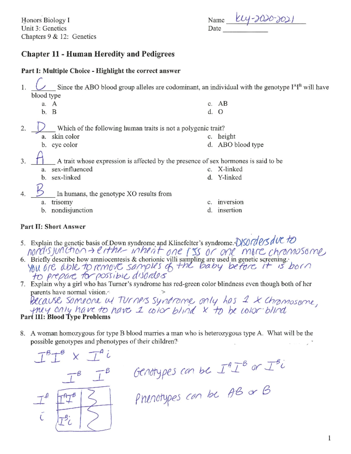 KEY: Honors Biology I Unit 3 Genetics - Chapter 11 Human Heredity ...