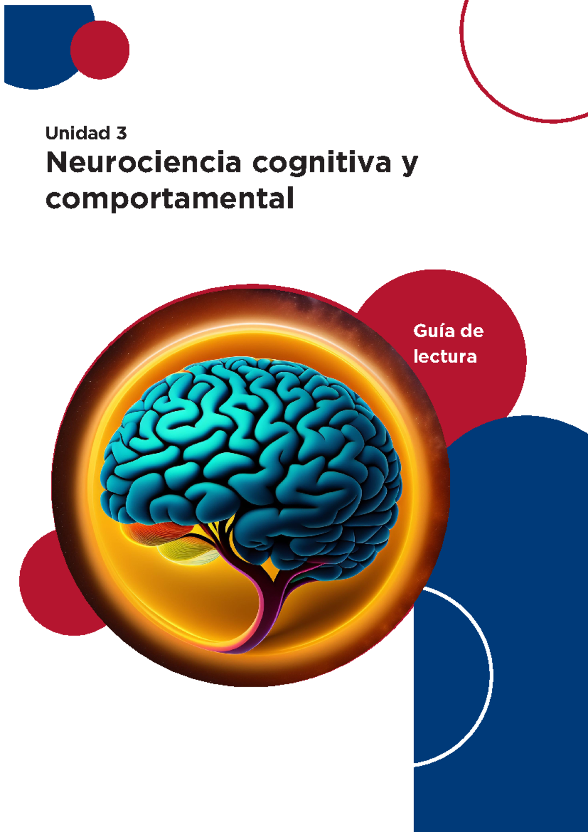 Unidad 3 Neuroanatomía y Neurofisiología - Guía de lectura Unidad 3 ...