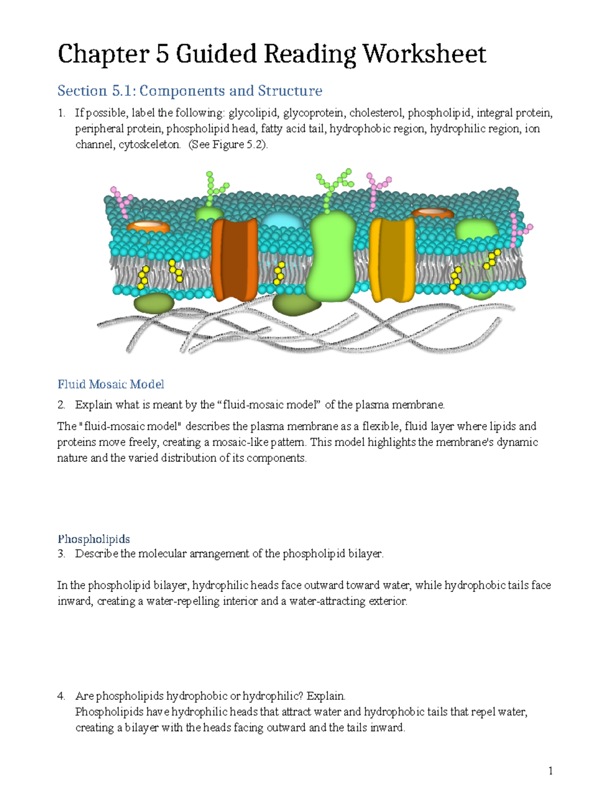 Biology 201: Cell Membrane Transport Mechanisms and Functions - Chapter ...