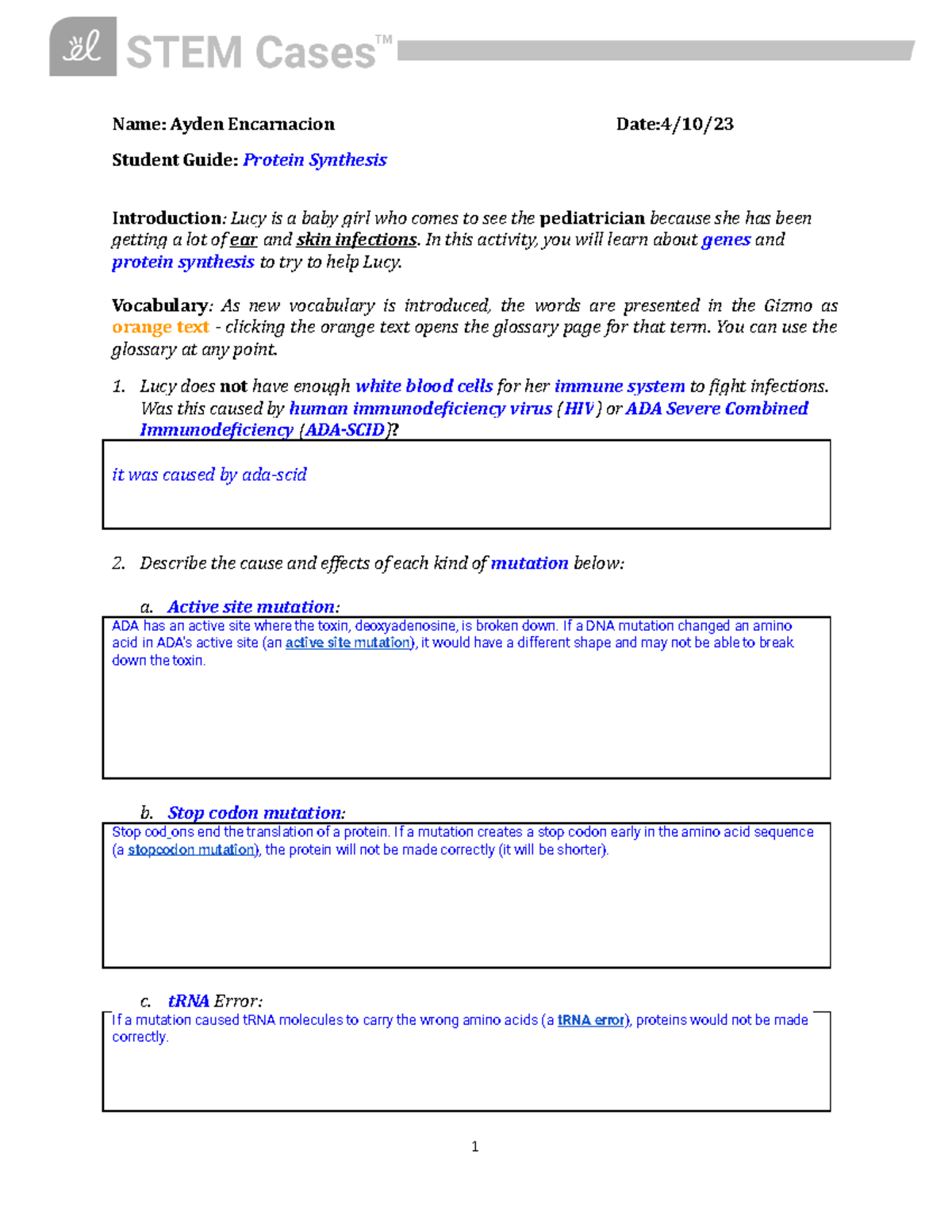 Protein Synthesis STEM Case Study: Understanding Lucy's ...