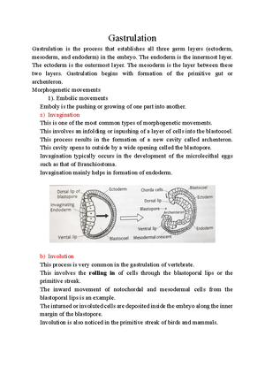 Type of eggs - mesolecithal , telolecithal - Type of Eggs The eggs are ...