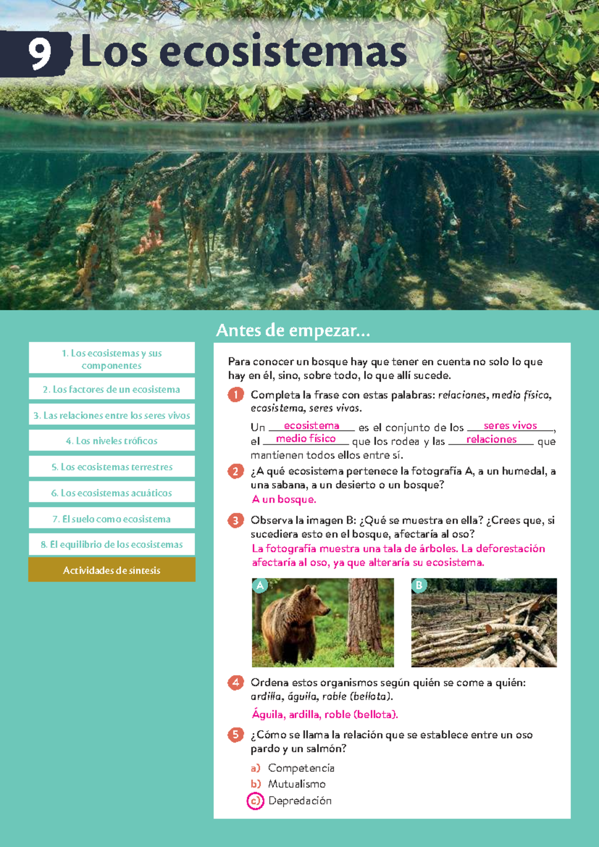 Ecosistemas y sus Componentes - Adaptación Curricular (9) - Studocu