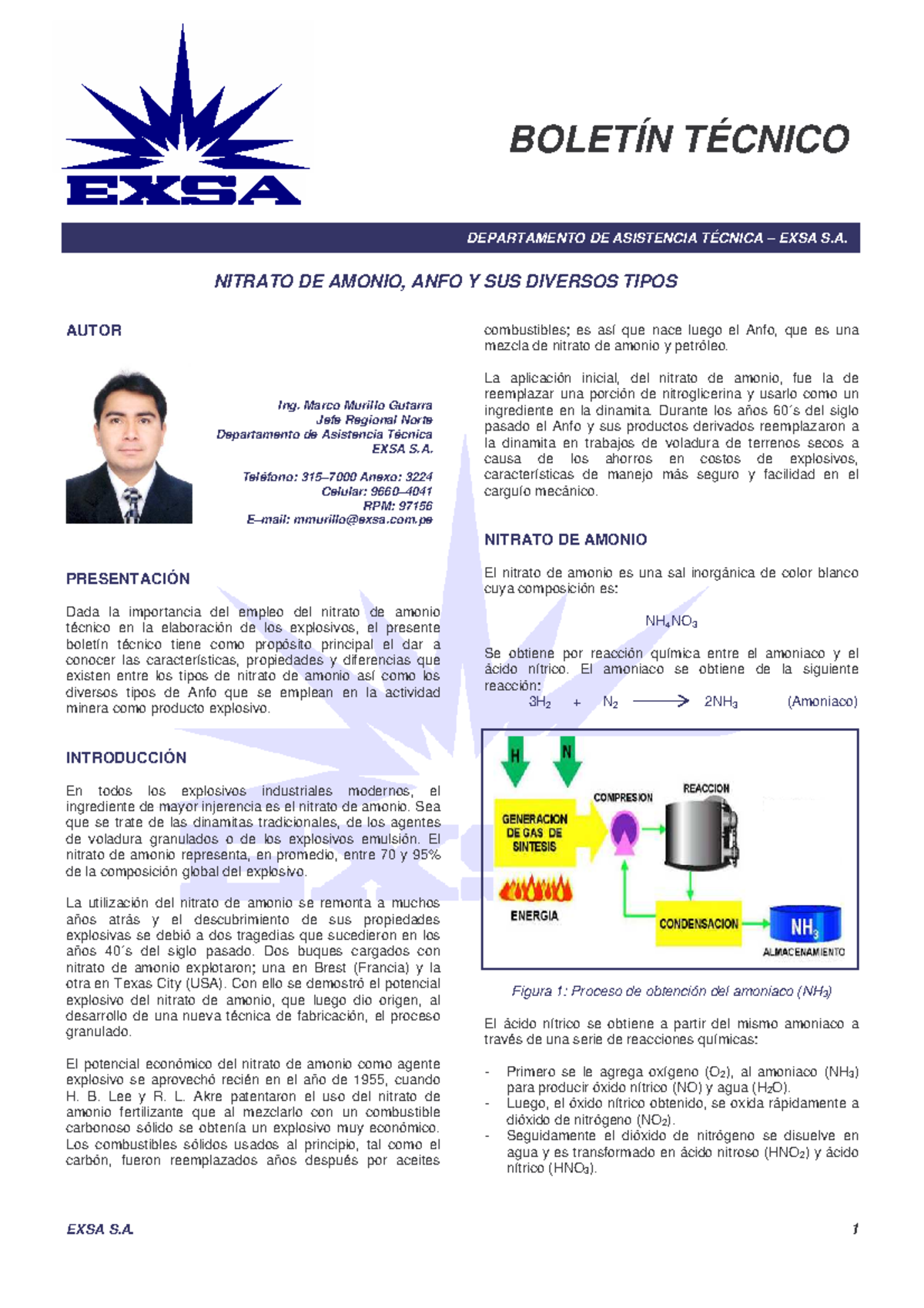 Nitrato de Amonio, Anfo y sus diversos tipos - AUTOR PRESENTACIÓN Dada ...