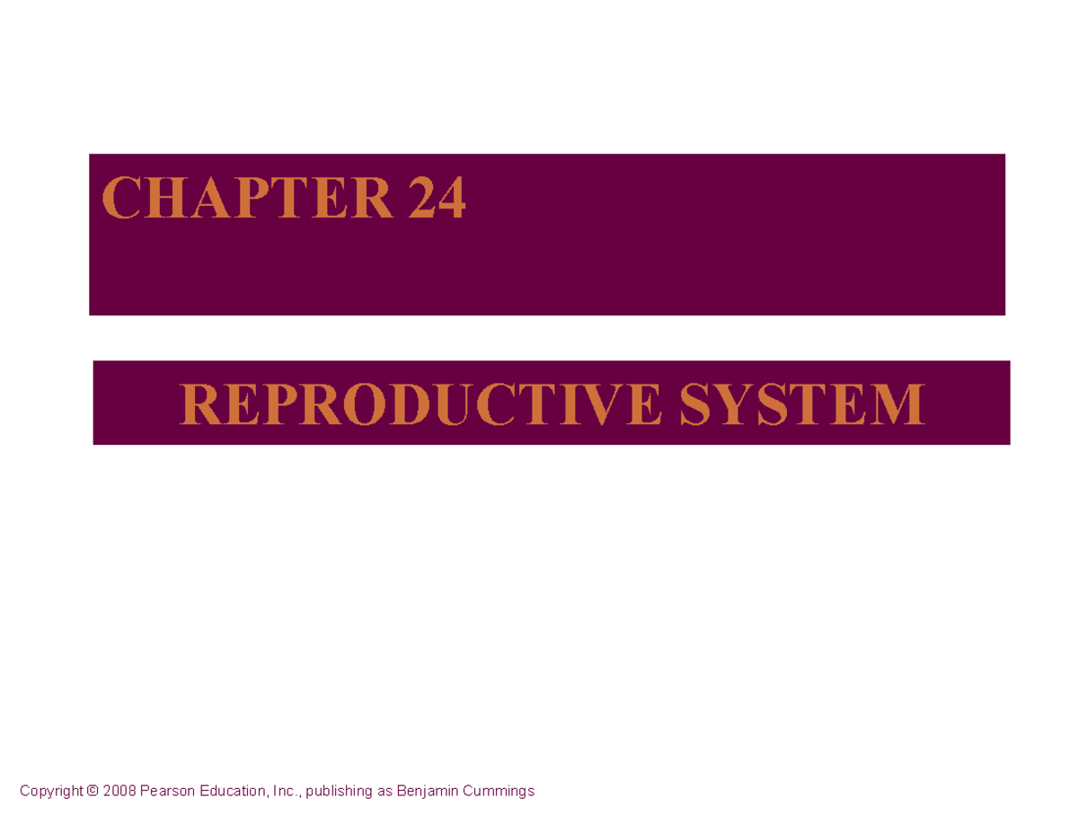 Chapter 24: Overview of Male and Female Reproductive Anatomy - Studocu