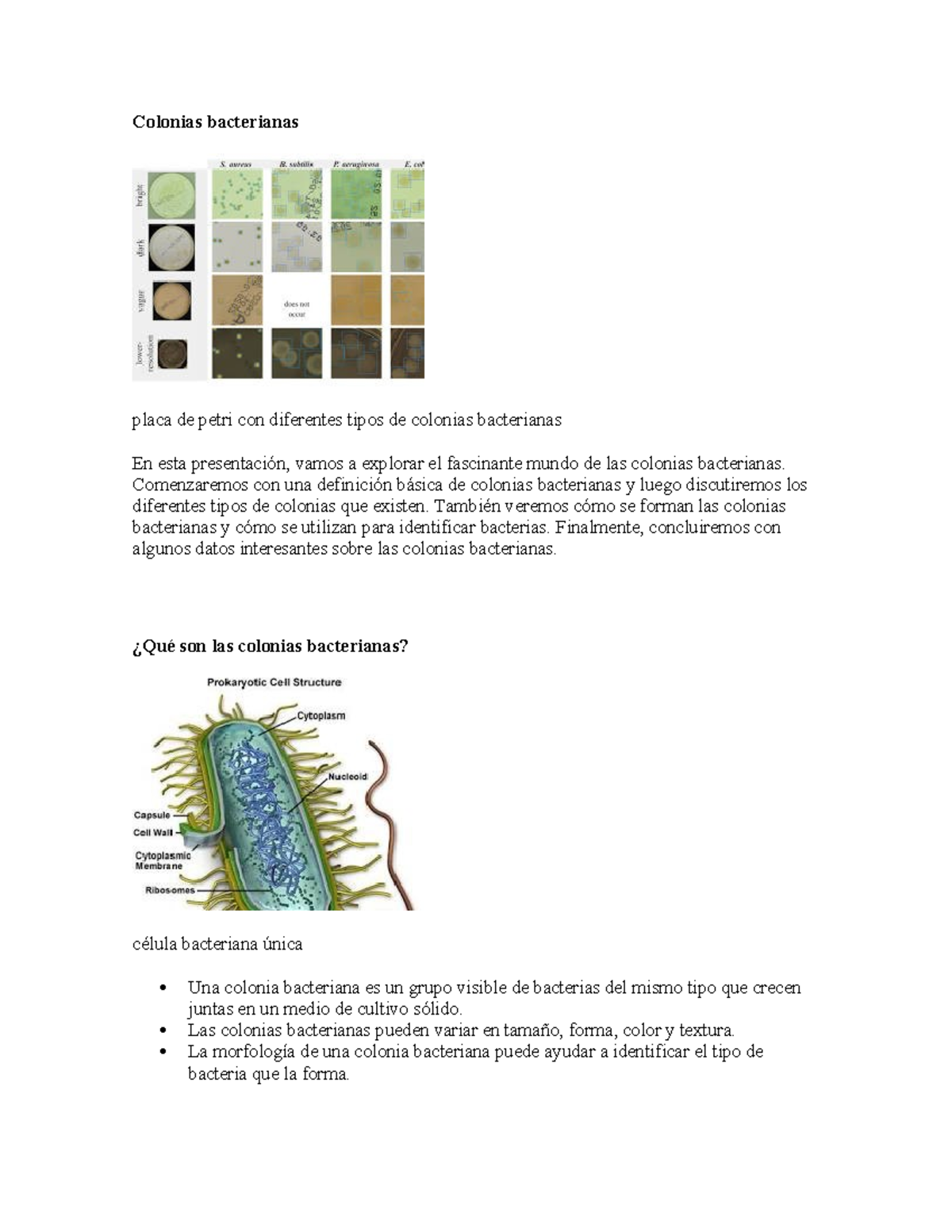 Estudio sobre Colonias Bacterianas - [Microbio P007] - Studocu