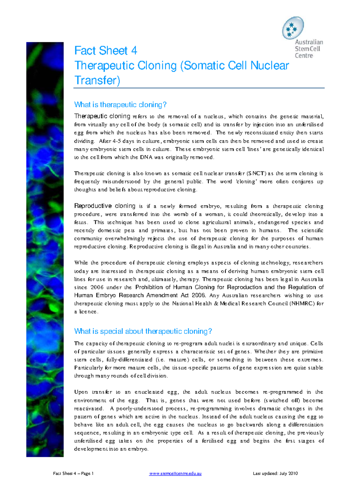 Therapeutic Cloning (SCNT): Mechanisms, Applications & Ethics - Studocu