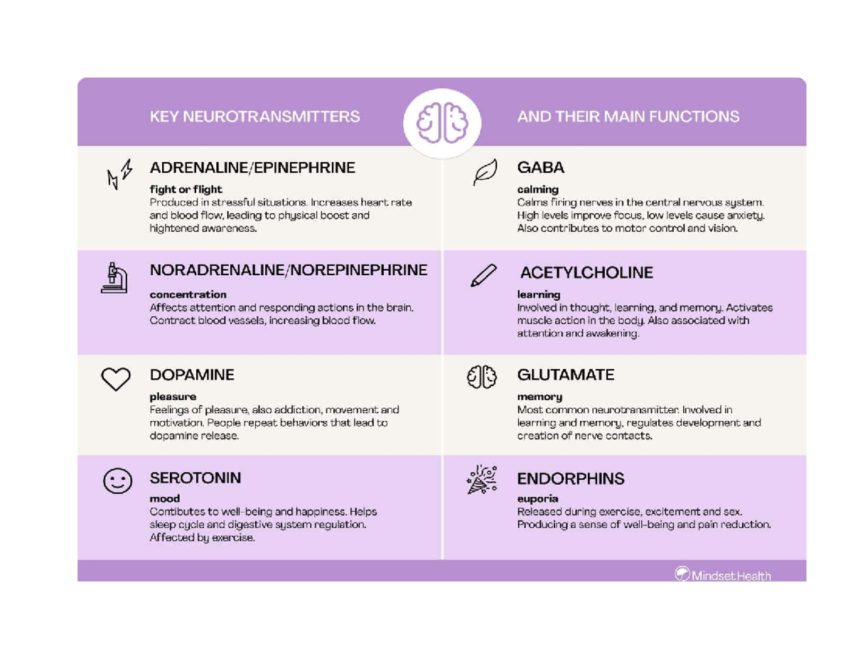 Neurotransmitters and Their Functions: Key Insights for Neuroscience ...
