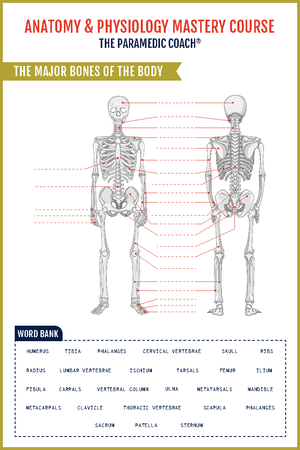 Paramedic Coach 1234 Method: Signs & Symptoms Cheat Sheet - Studocu