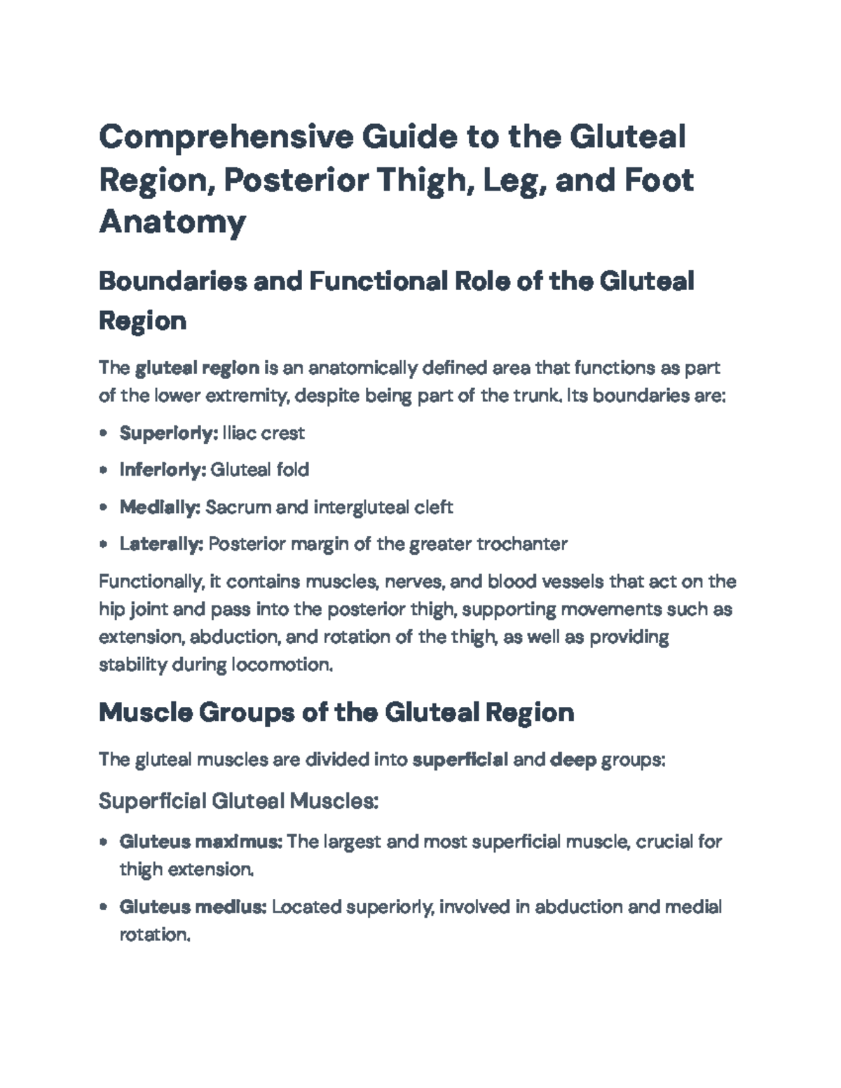 Comprehensive Guide to Gluteal Region, Posterior Thigh, Leg & Foot ...