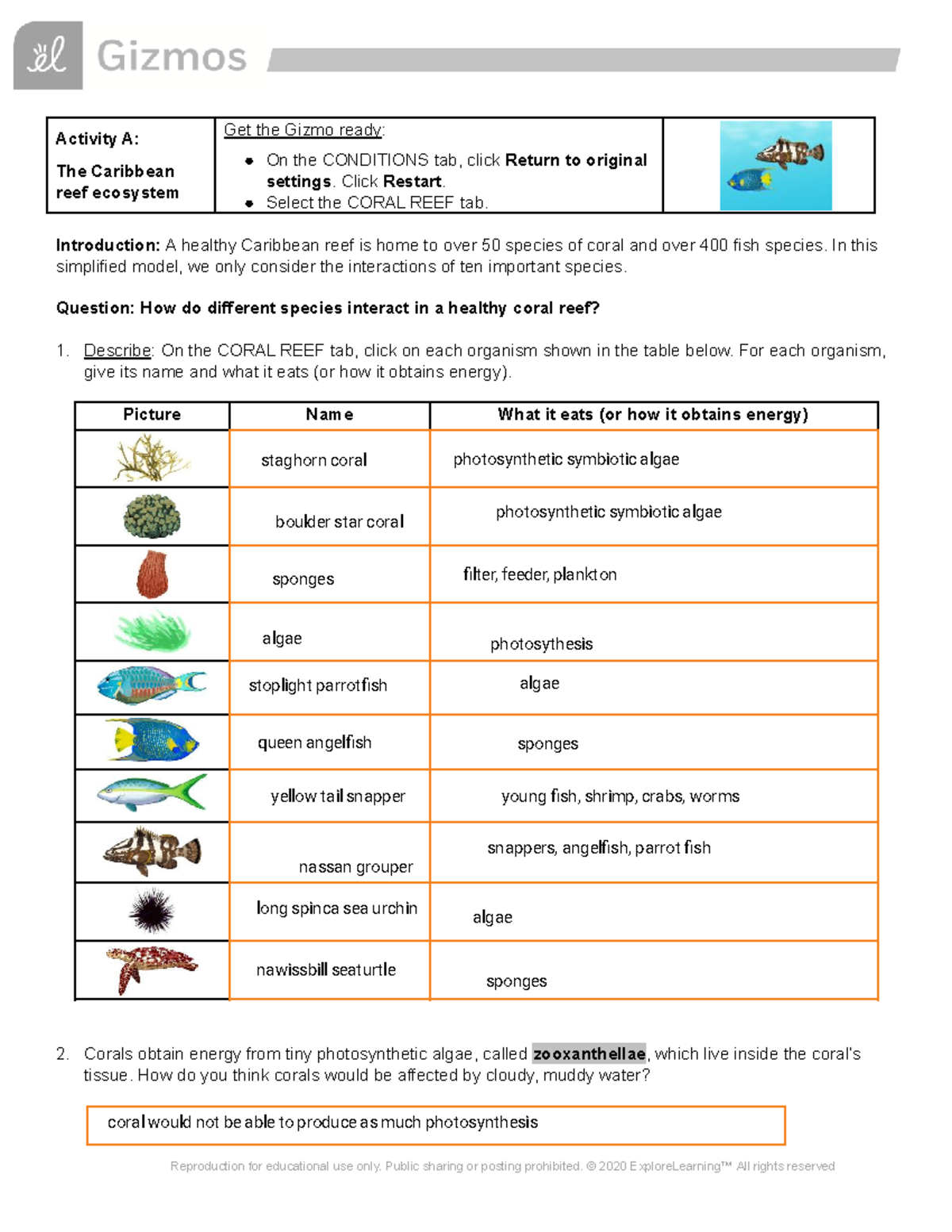 Joseph Williams - Coral Reef Actiivty A - Activity A: The Caribbean ...