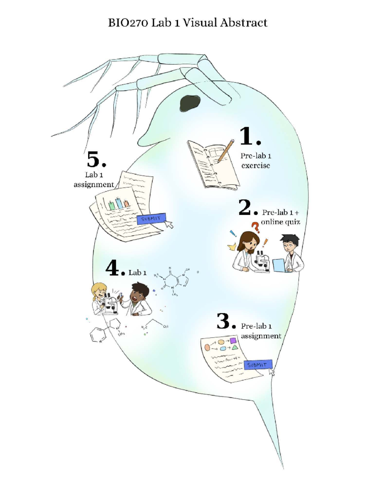 BIO270 Pre-Lab 1 Manual: Experimental Design with Daphnia magna - Studocu