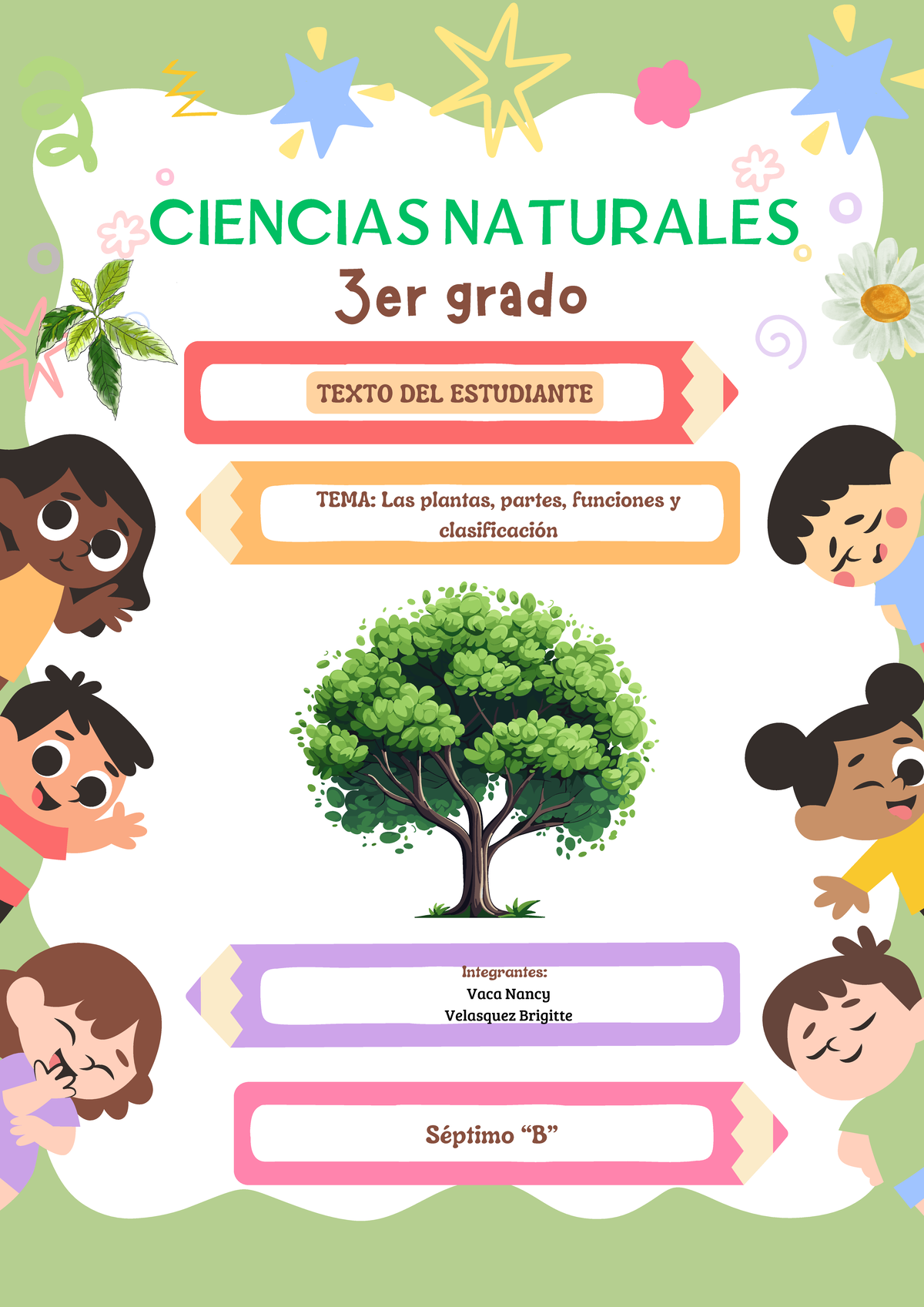 Plantas, partes, funciones y clasificación - Séptimo “B” Integrantes ...