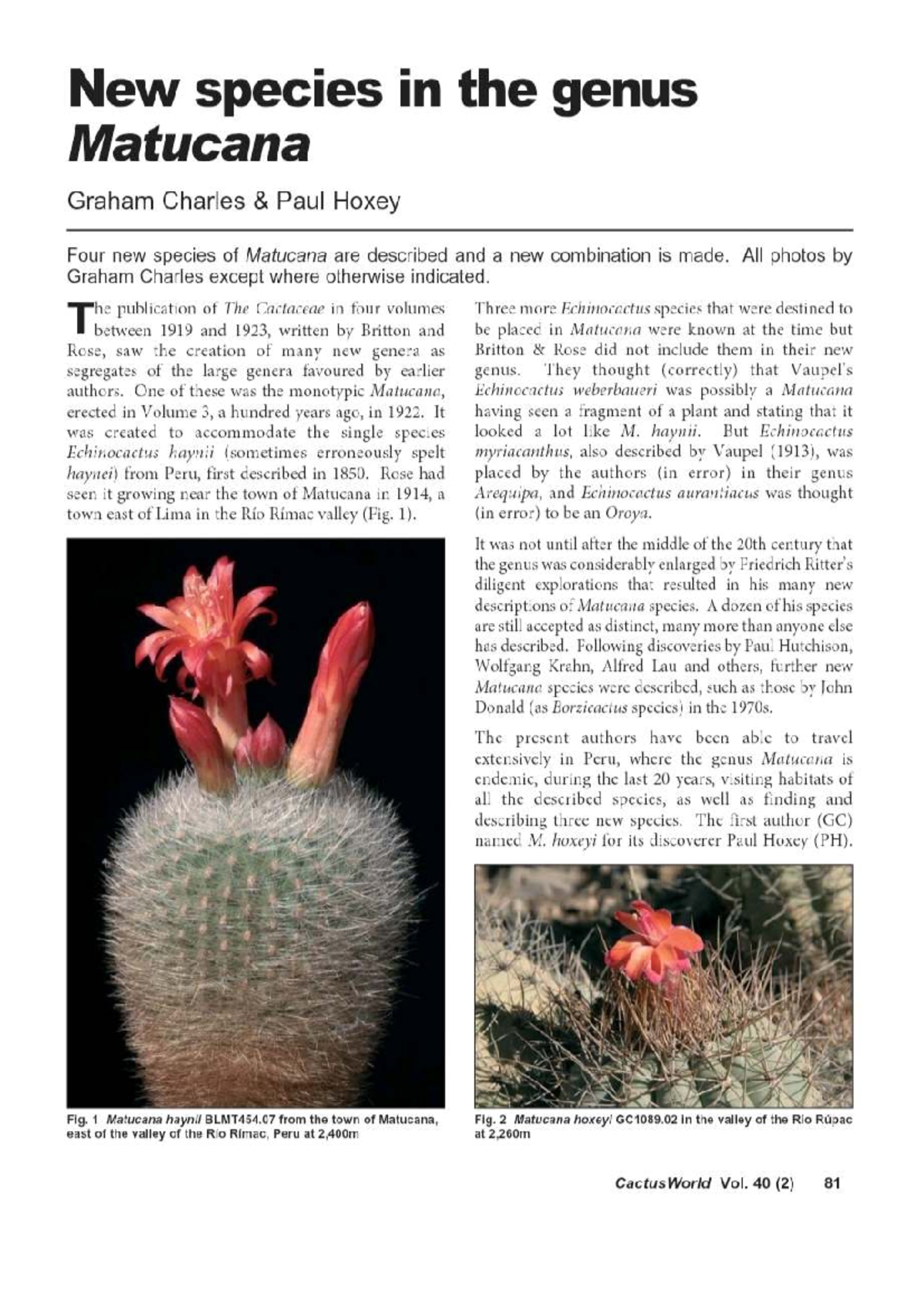 New Species of Matucana: Descriptions and Discoveries - Studocu