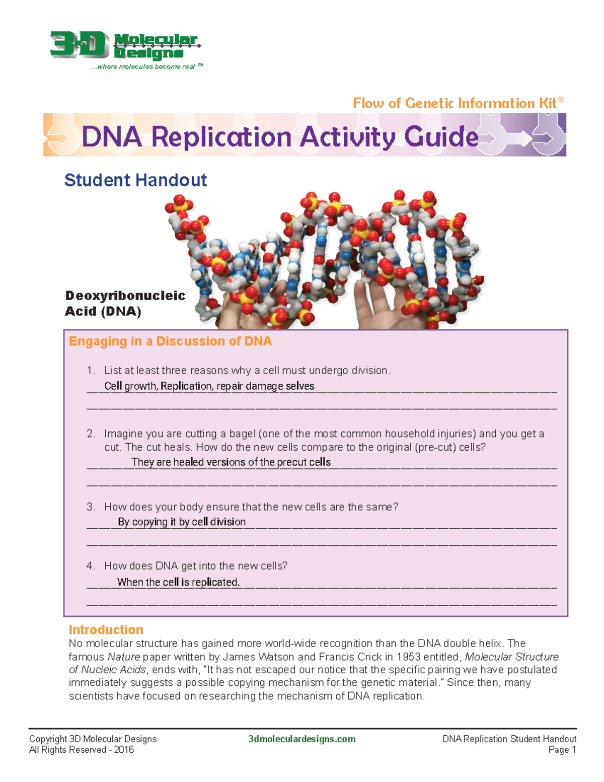 DNA Replication Activity Guide - 3DMD Lesson Plan - Studocu