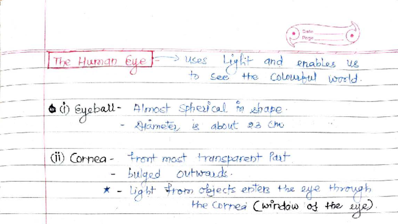 The Human Eye and Its Role in Perceiving Colorful Vision (SCI101) - Studocu