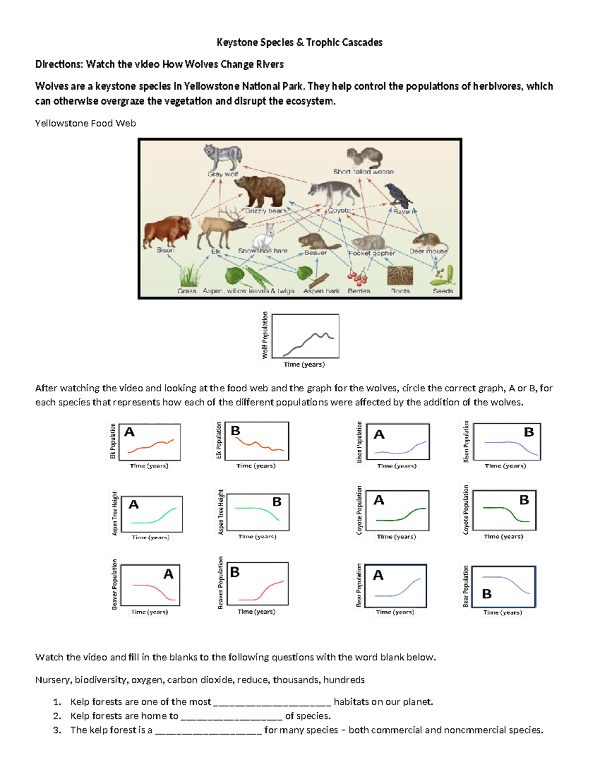 Keystone Species & Trophic Cascades: Impact of Wolves on Ecosystems ...