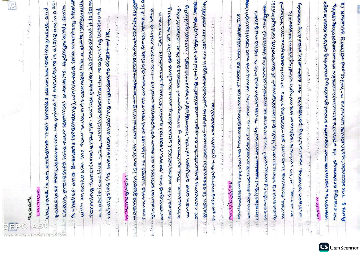 Biochemistry Report: Enzymes, Proteins, and Gene Expression - Studocu