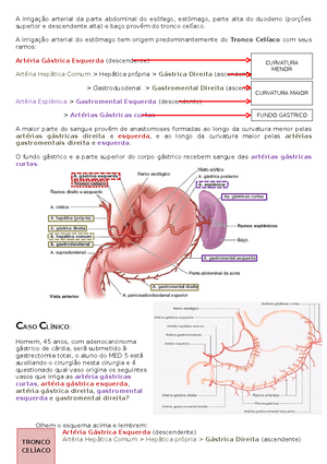 Sistema Ázigo venoso - O sistema um conjunto de veias situadas de cada ...